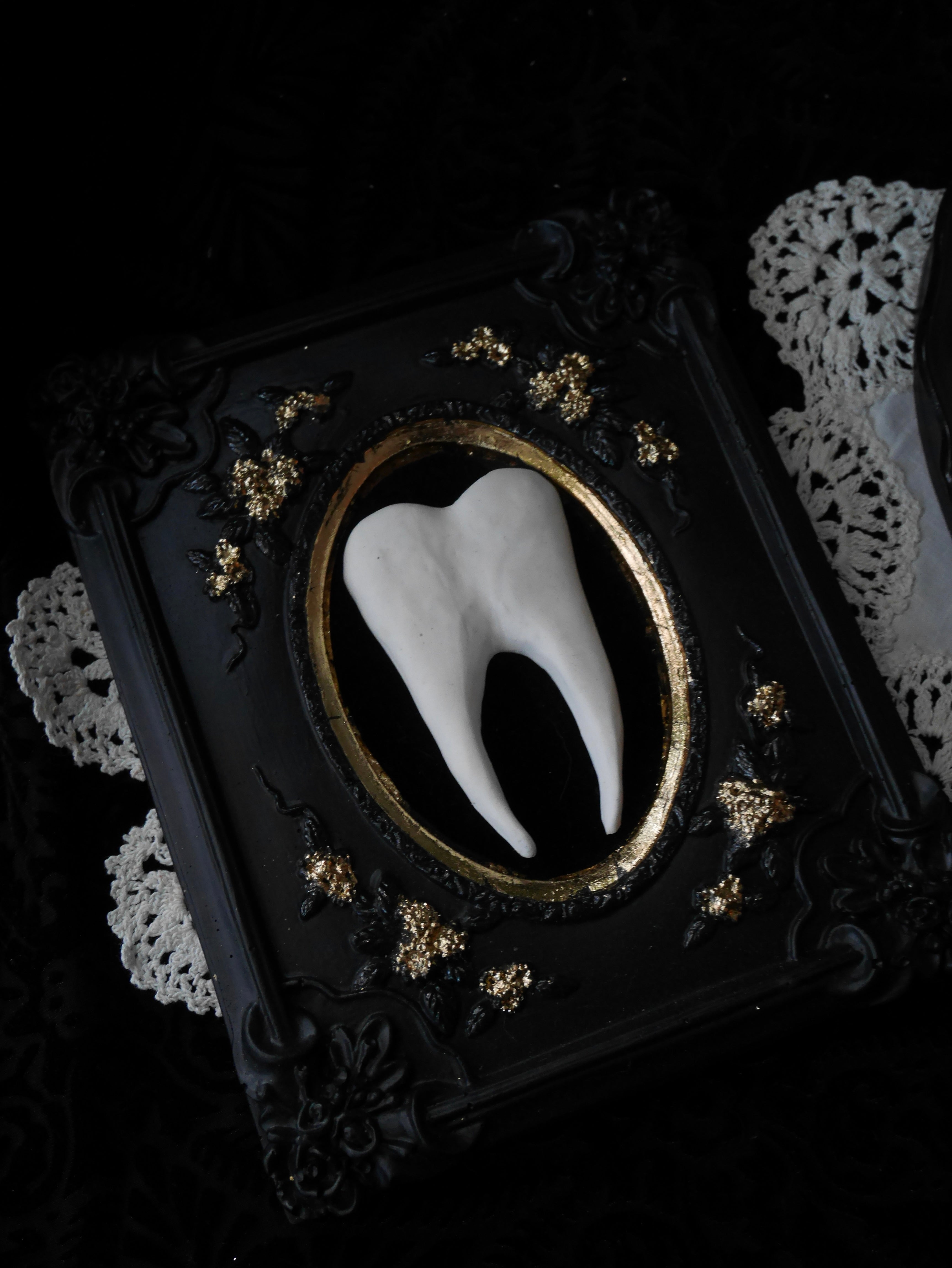 Tooth Wall Sculpture – Anatomy Collection – A Familiar Spirit